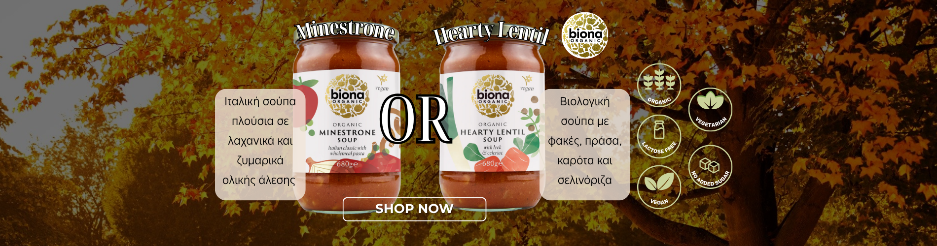 Biosophy.gr - Raw, Organic, Wild Health Foods | Βιολογικά Προϊόντα
