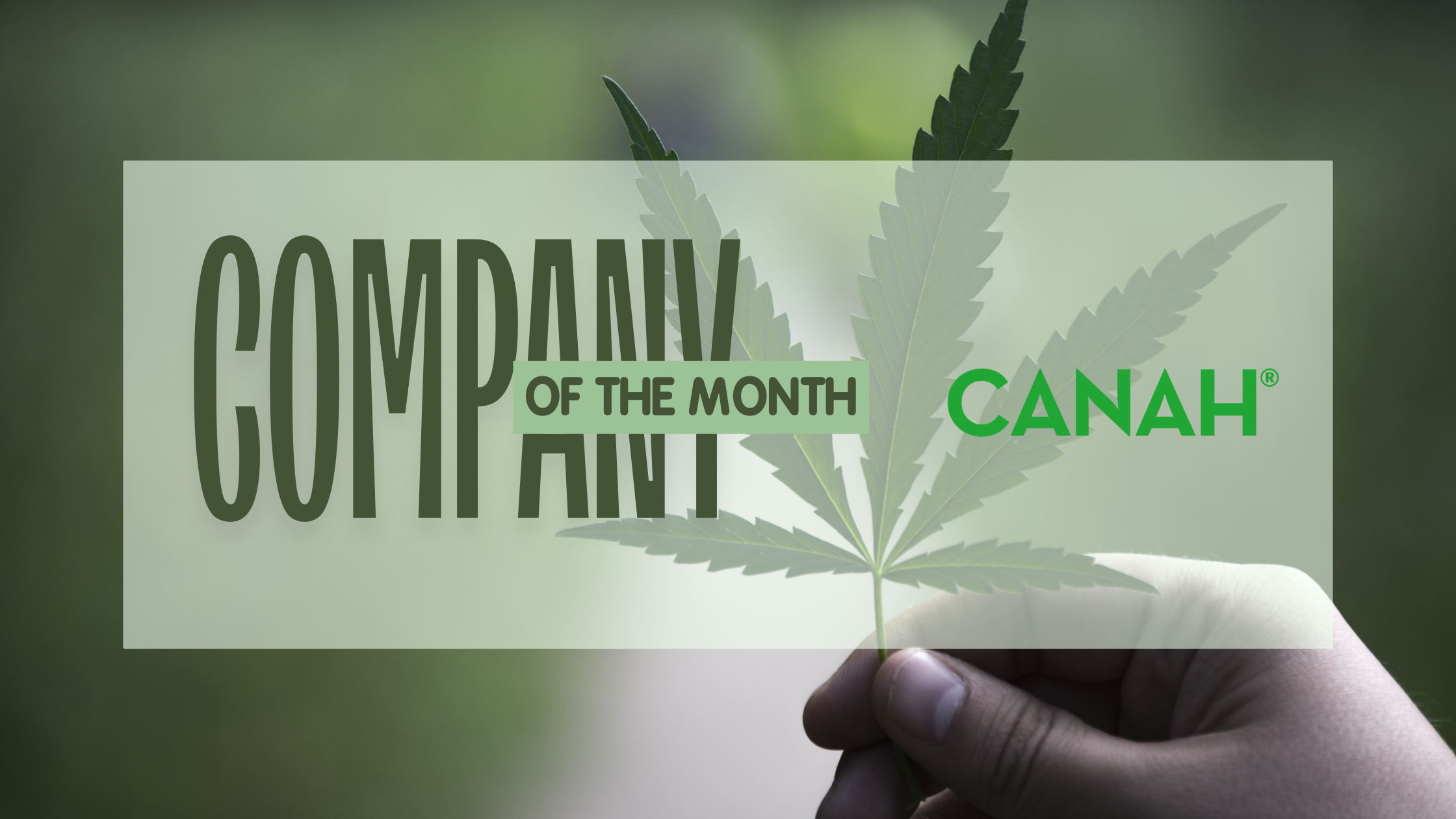 Company of the Month: Canah